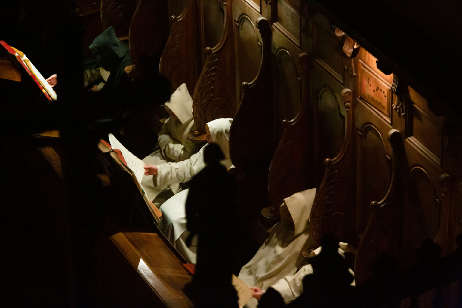 L'Ordre des chartreux - Musée de la Grande Chartreuse